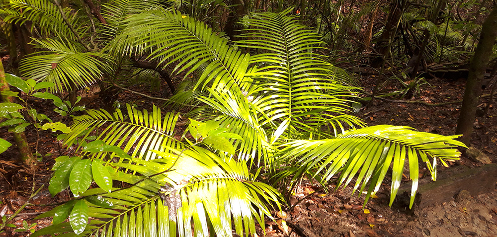 Hiking In Mount Whitfield Conservation Park - London Frenchy Around the ...