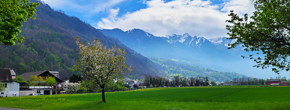 3 Reasons Why You Should Visit Liechtenstein - London Frenchy Around ...